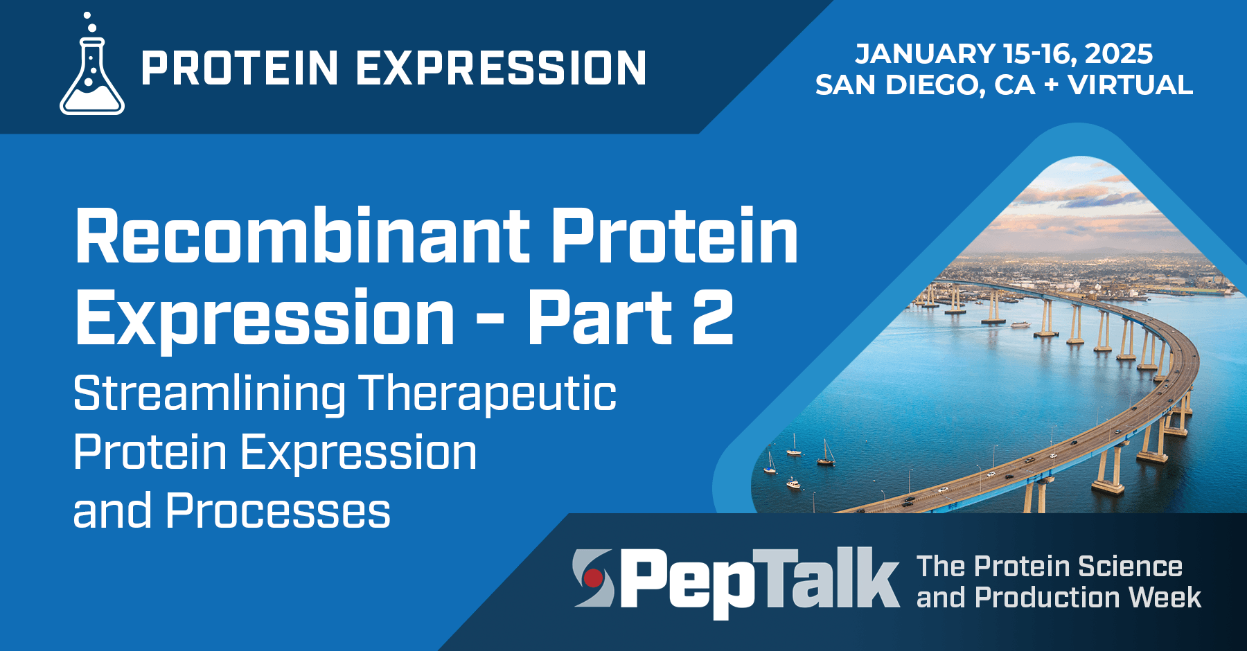 Recombinant Protein Production Part 2 | PepTalk - The Protein Science ...
